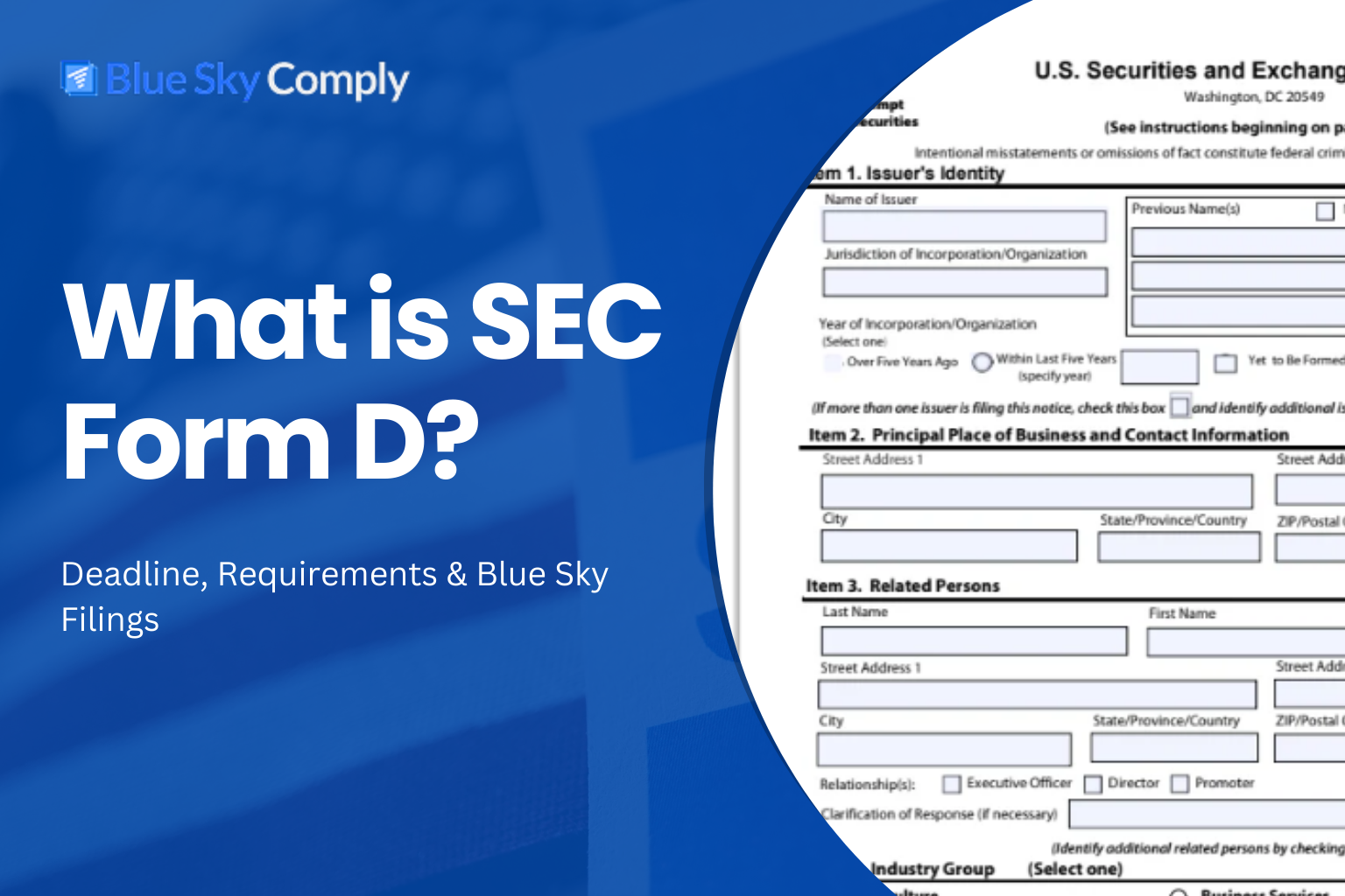 What Is SEC Form D? - Deadlines, Requirements & Blue Sky Filings
